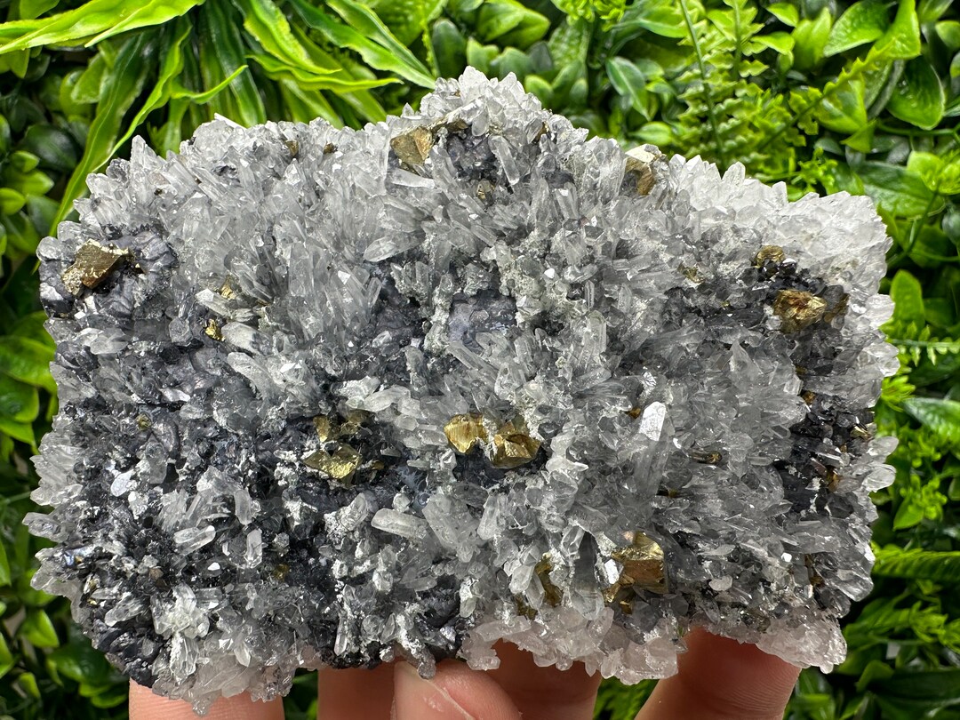 Wonderful Chalcopyrite on Melted Galena Whit Quartz From Borieva Mine ...