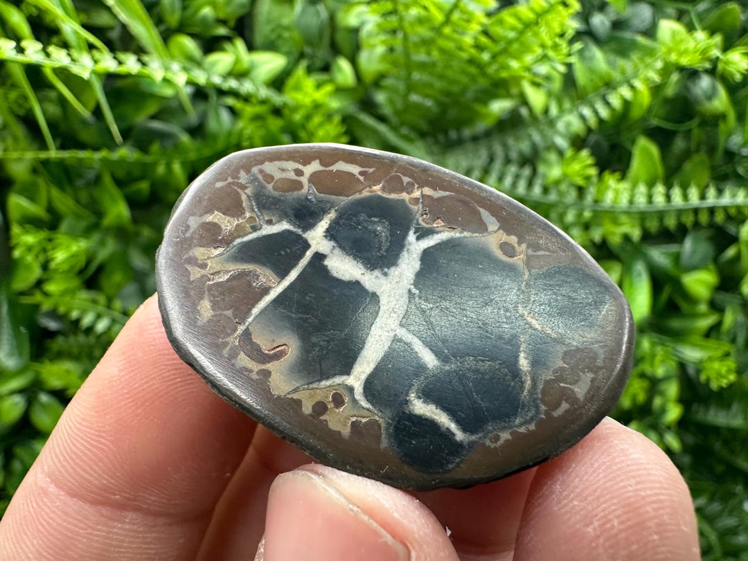 Dragonstones Pair, Septarian Nodule Geode, Septaria, Dragonstone ...