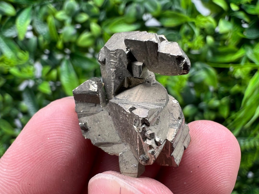 Mini Rare Crystallisation Pyrite,borieva Mine,bulgaria,floating Pyrite ...