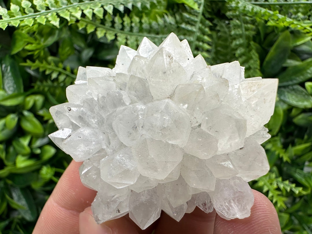 Transparent Quartz Whit Calcite Djurcovo Laki Bulgaria Natural Minerals ...