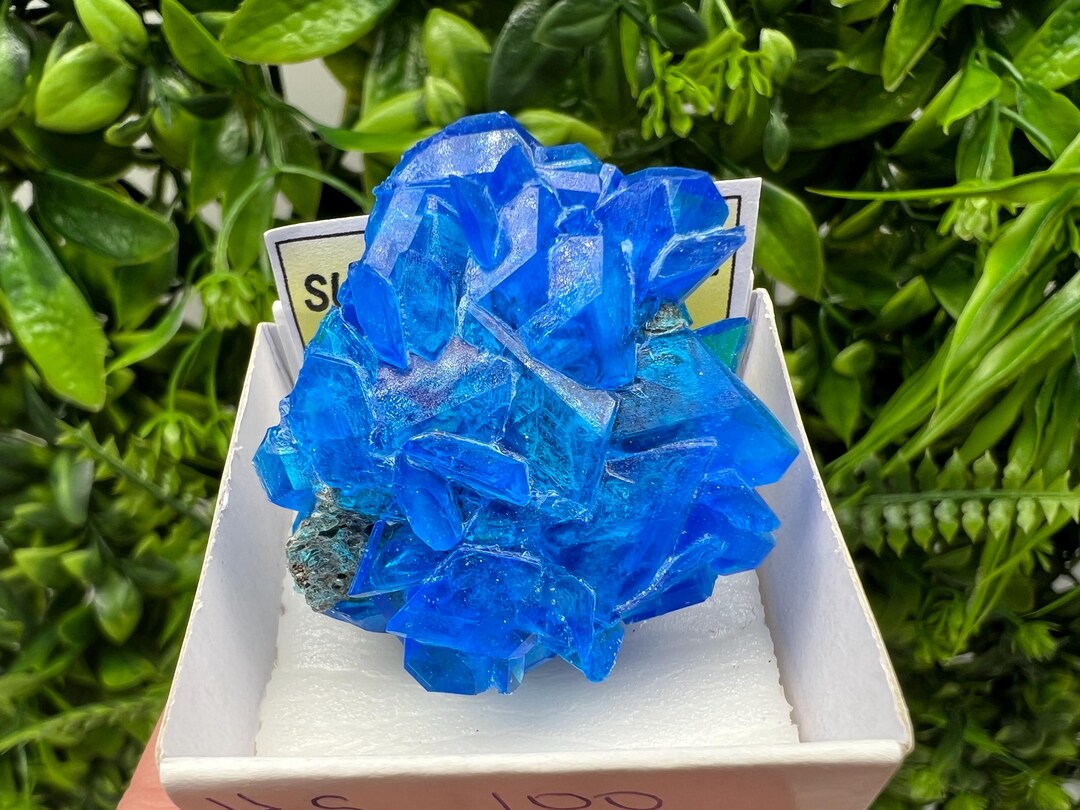 STUNNING Chalcanthite on Matrix,mineral,crystal,chalcanthite on Matrix ...