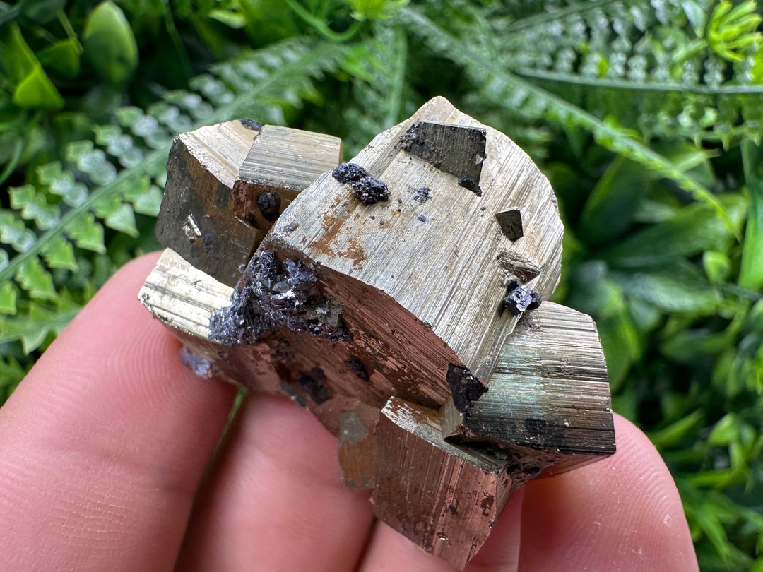 Natural Pyrite Crystal: Shiny Fool's Gold Mineral Souvenir - Etsy