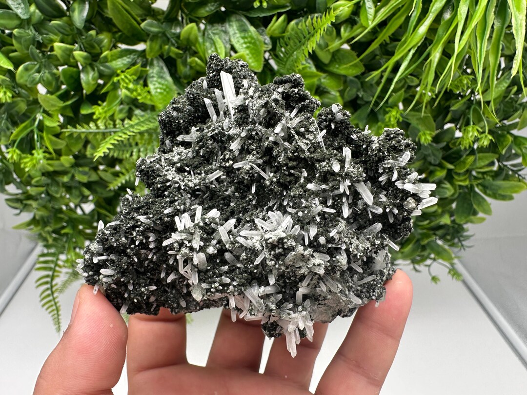 Quartz Crystal With Calcite and Chlorite, Borieva Mine, Bulgaria - Etsy