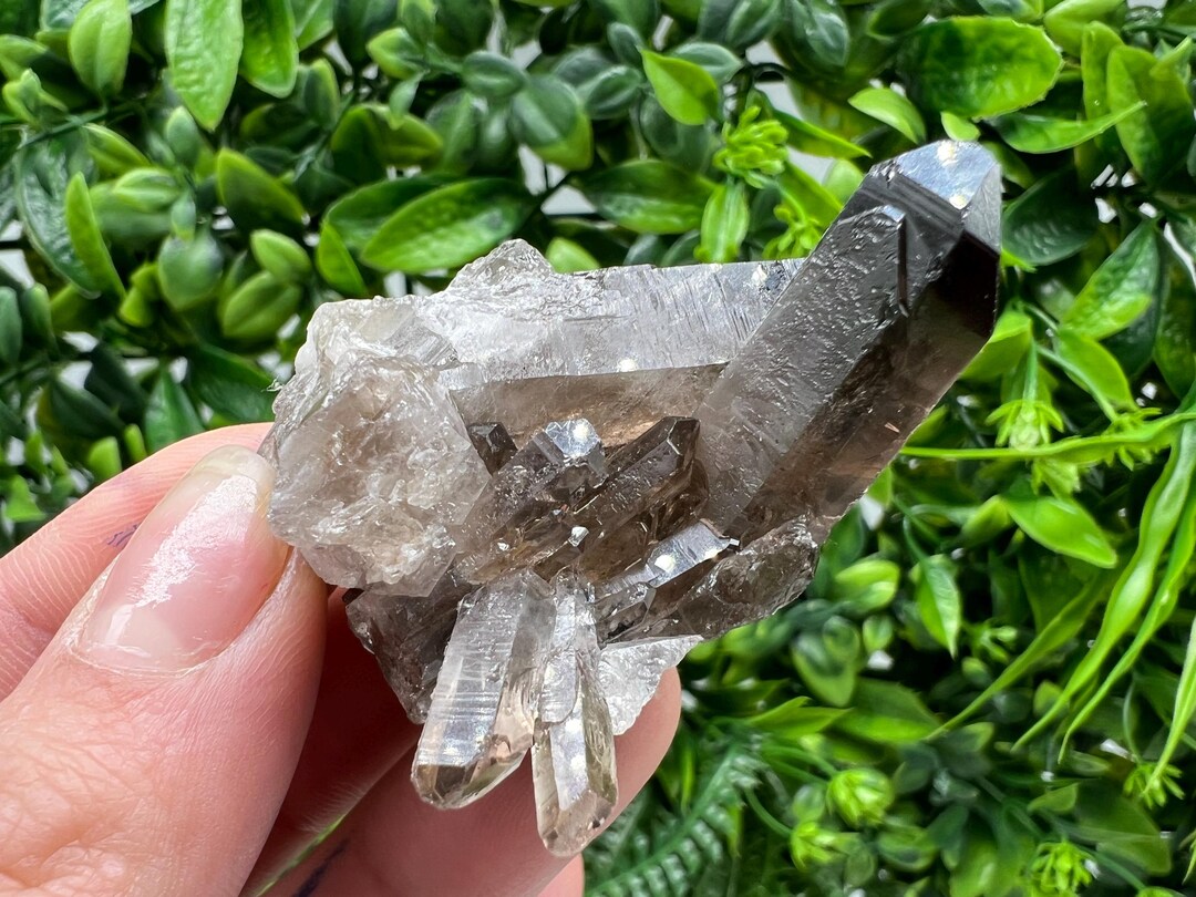 Rare Smoky Quartz,mineral Specimen,collection Crystal,minerals,smoky ...