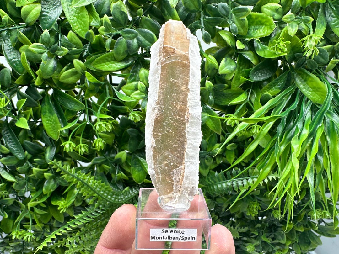 TOP QUALITY! Golden Phantom Selenite Slabs. Fishtail Selenite. Utah Raw ...