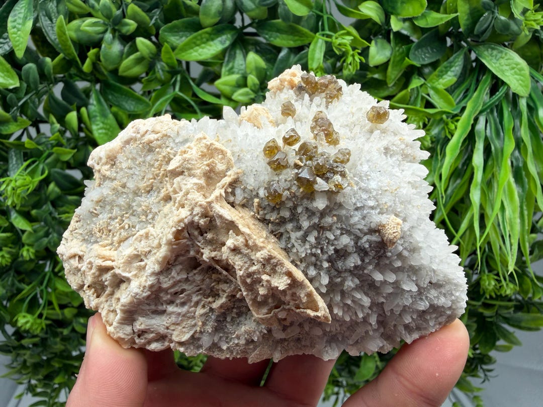 Stunning Gems Sphalerite Cleiopfane on Quartz From Krushev Dol Mine ...