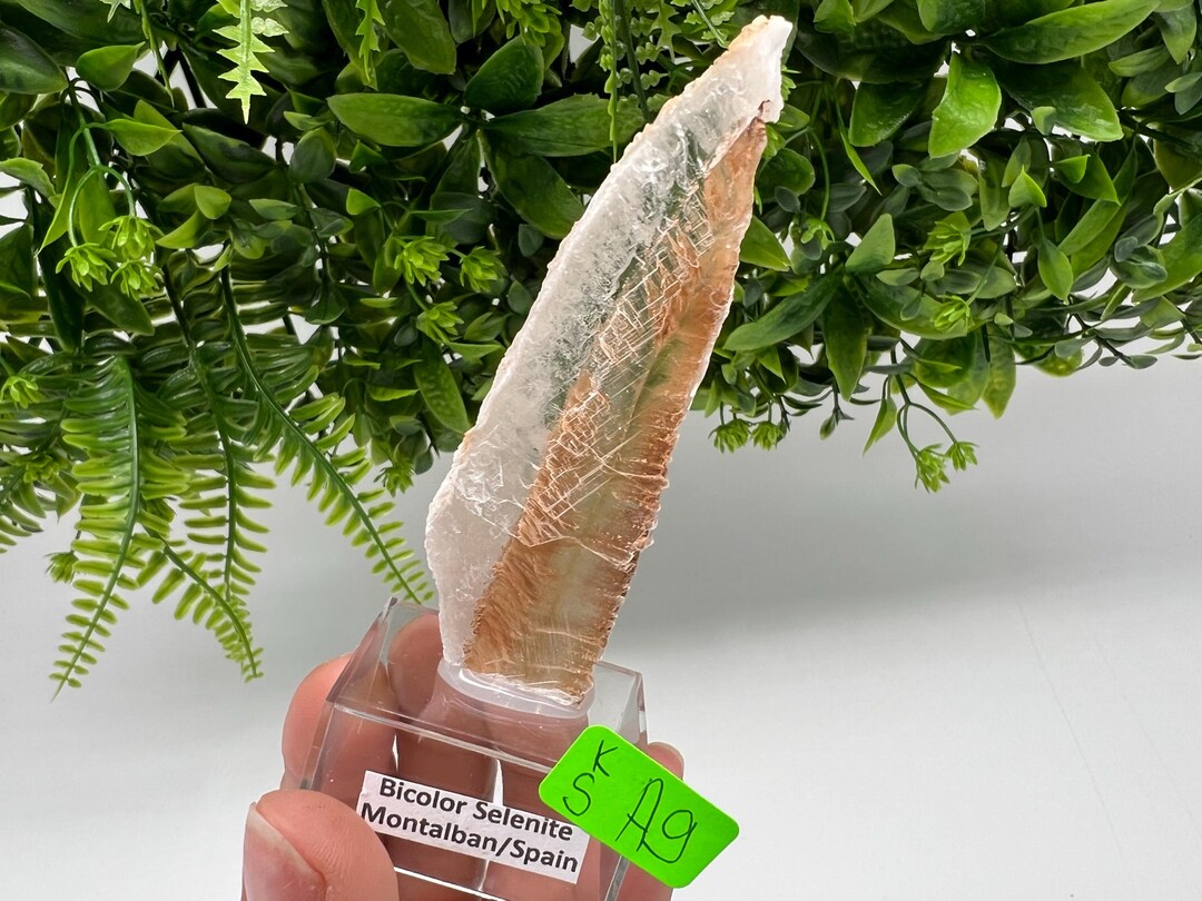 Golden Phantom Selenite Slab, Utah Raw Fishtail Selenite - Etsy