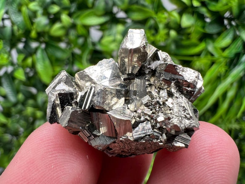 Golden Pyrite,sphalerite From 9th September Mine,madan,bulgaria,natural ...