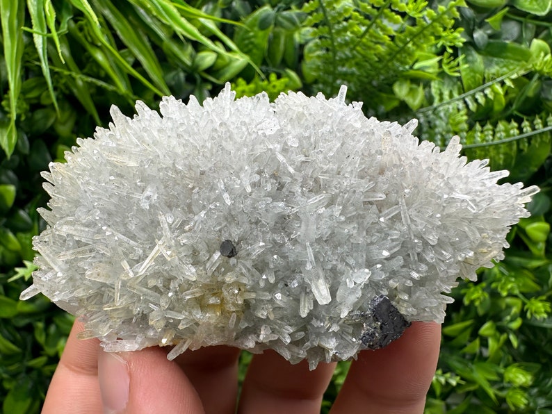 Stunning Quartz Whit Chlorite Inclusions Whit Hematite Natural Minerals ...