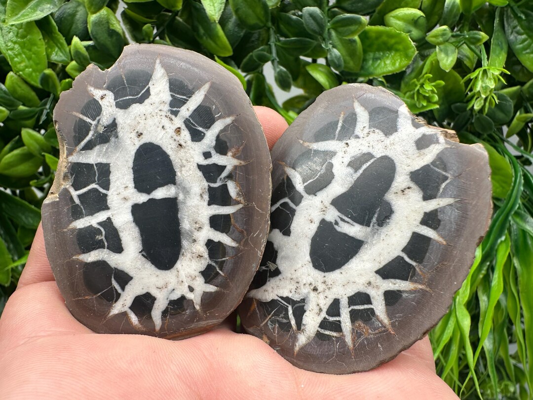 Dragonstones Pair, Septarian Nodule Geode, Septaria, Dragonstone ...