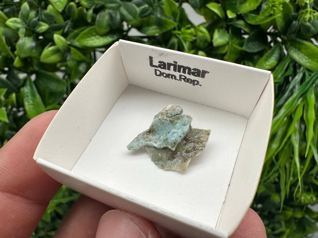 Rare Raw Larimar Specimen: Dom. Rep. Mineral Collection (20mm) - Etsy