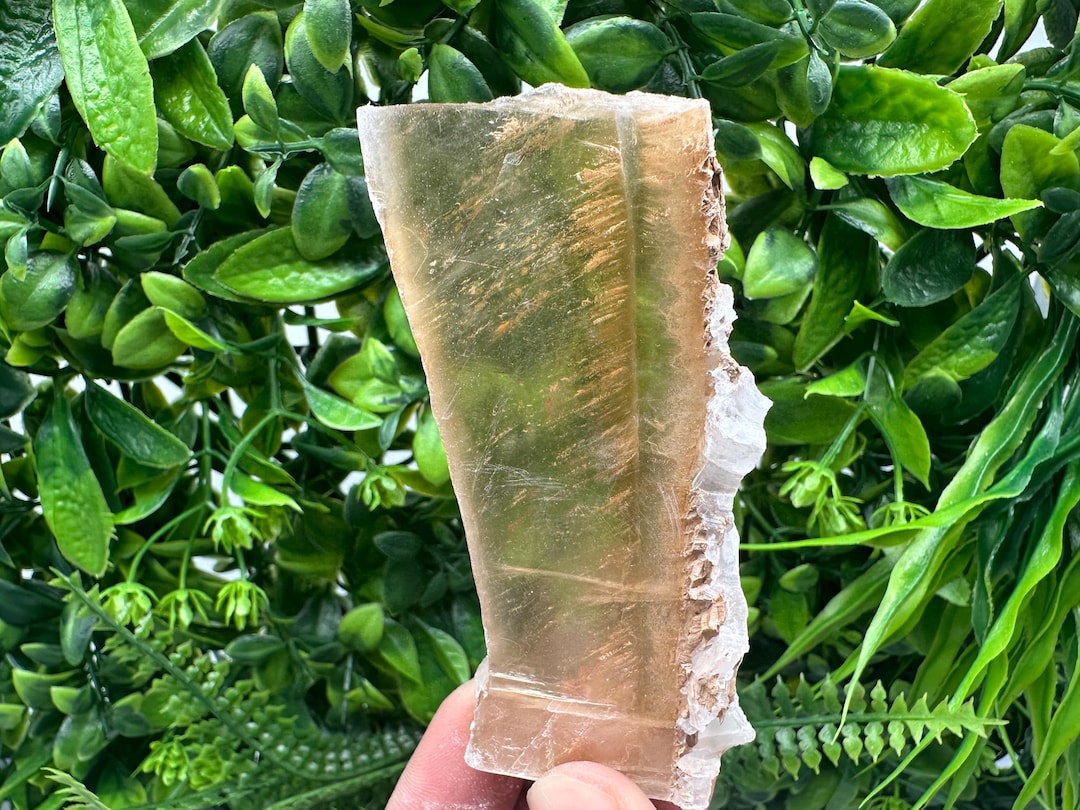 TOP QUALITY Golden Phantom Selenite Slabs. Fishtail Selenite. Utah Raw ...