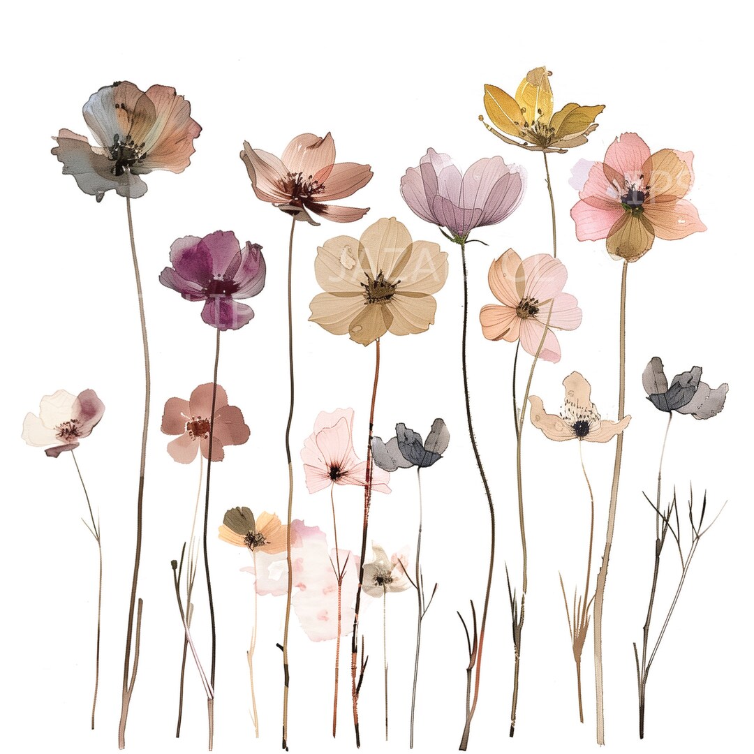 13 Watercolor Flowers Clipart,boho Dried Flowers Print,printable ...