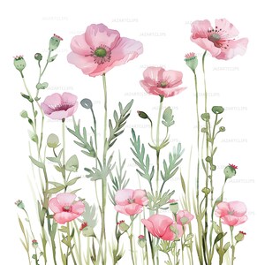 Watercolor Wildflower Clipart: Floral Prints, Commercial Use (digital ...