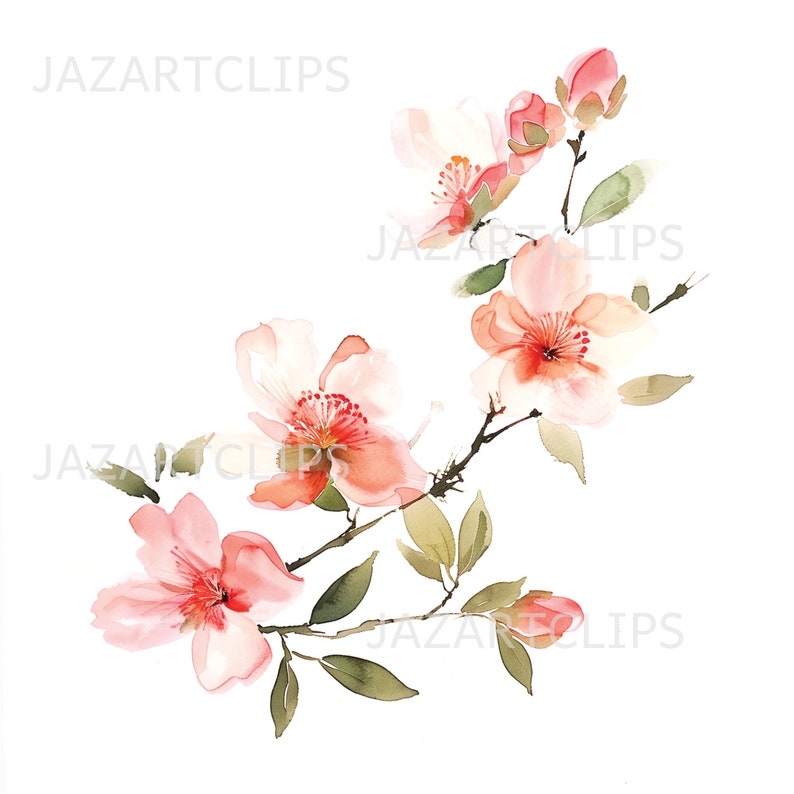 13 Watercolor Flower Cluster Clipart, Watercolor Floral Clipart ...