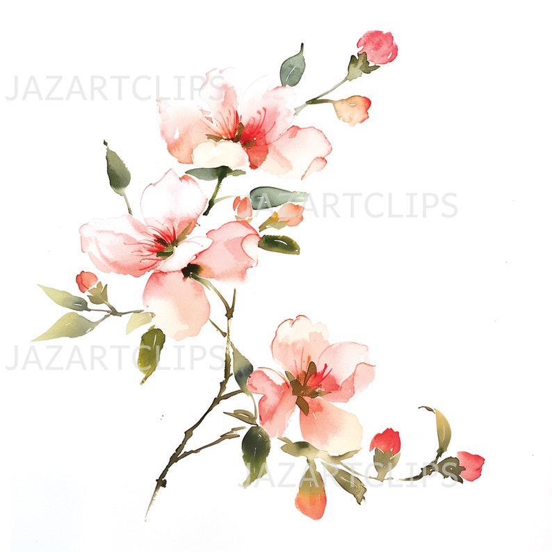 13 Watercolor Flower Cluster Clipart, Watercolor Floral Clipart ...