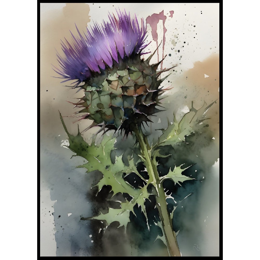 Thistle Flower Art Print Scottish Watercolour Art - Etsy