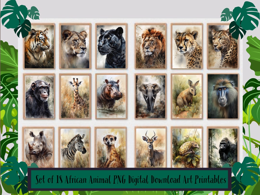 African Animal Digital PNG Download, Set of 18 Animal Prints, Jungle ...