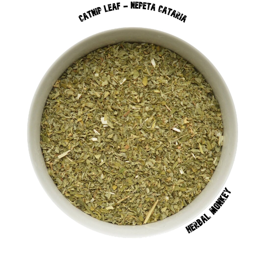 Catnip Herb | Nepeta Cataria | Organic Catnip | Catnip Tea - Etsy