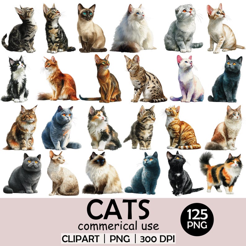 Realistic Cat Clipart Set – 125 PNG Cats, Commercial Use, Transparent ...
