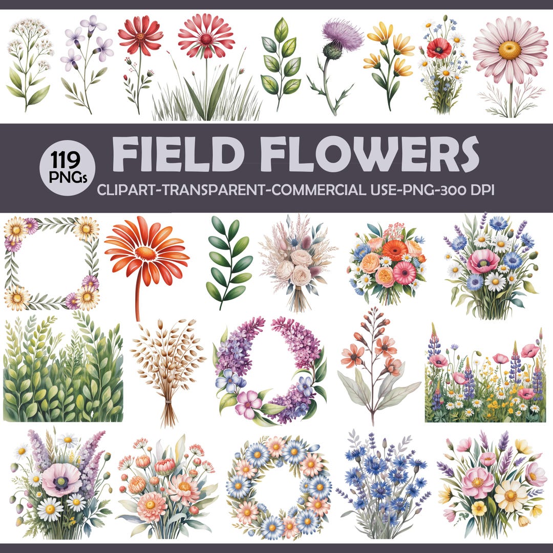 Field Flowers Clipart Bundle | Wildflower PNG Set | Transparent | 300 ...