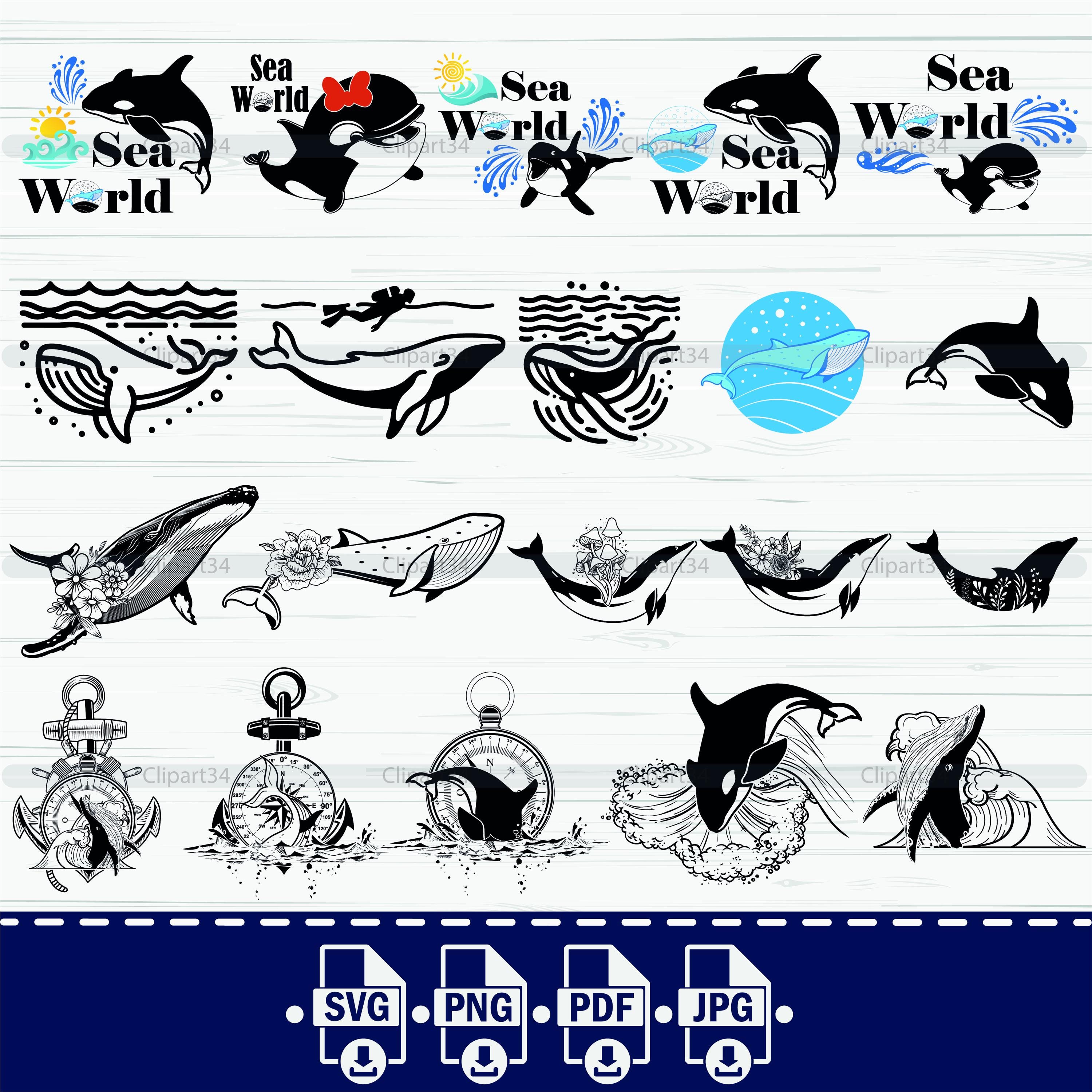 Whale SVG Bundle: Orca, Tail, Sea Animals Clipart (digital Download) - Etsy