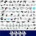 Whale SVG Bundle: Orca, Tail, Sea Animals Clipart (digital Download) - Etsy