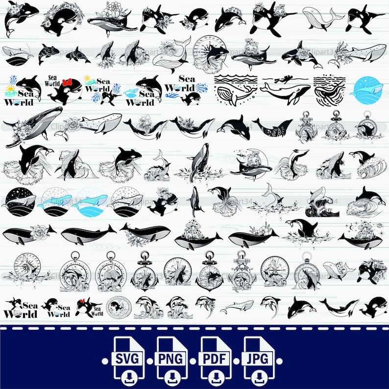 Whale SVG Bundle: Orca, Tail, Sea Animals Clipart (digital Download) - Etsy