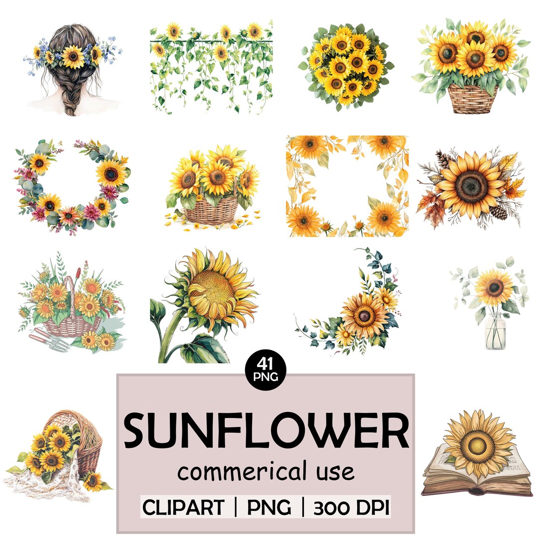 Sunflower Clipart Bundle – 41 PNG Floral Illustrations for Commercial ...