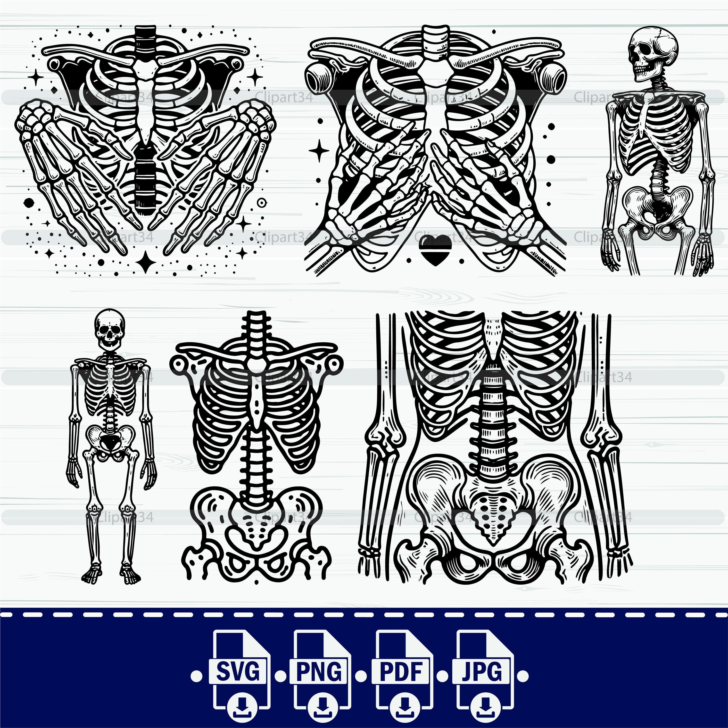 Floral Skeleton Parts SVG, Floral Spine Anatomy SVG, Halloween Skeleton ...