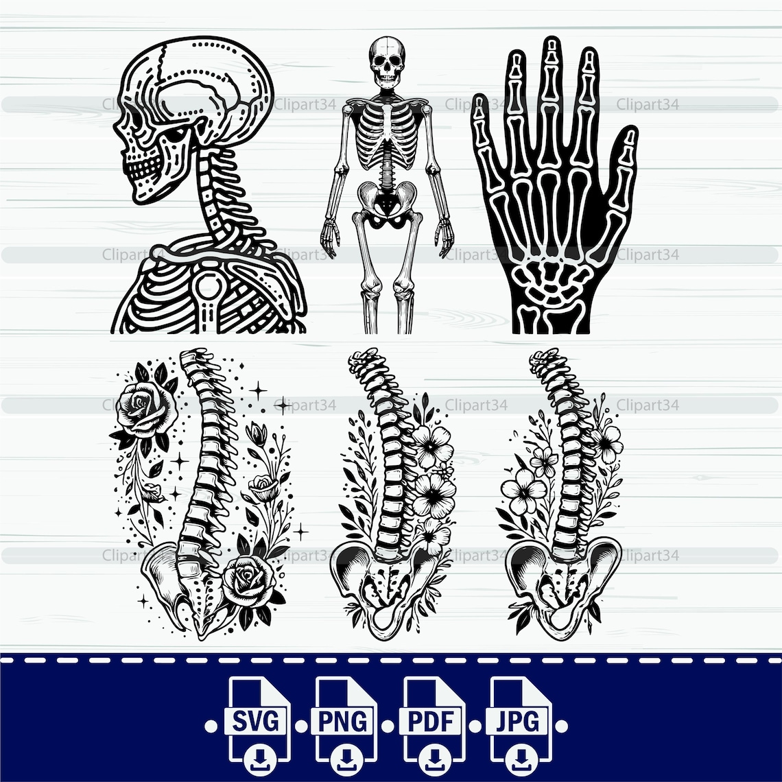 Floral Skeleton Parts SVG, Floral Spine Anatomy SVG, Halloween Skeleton ...