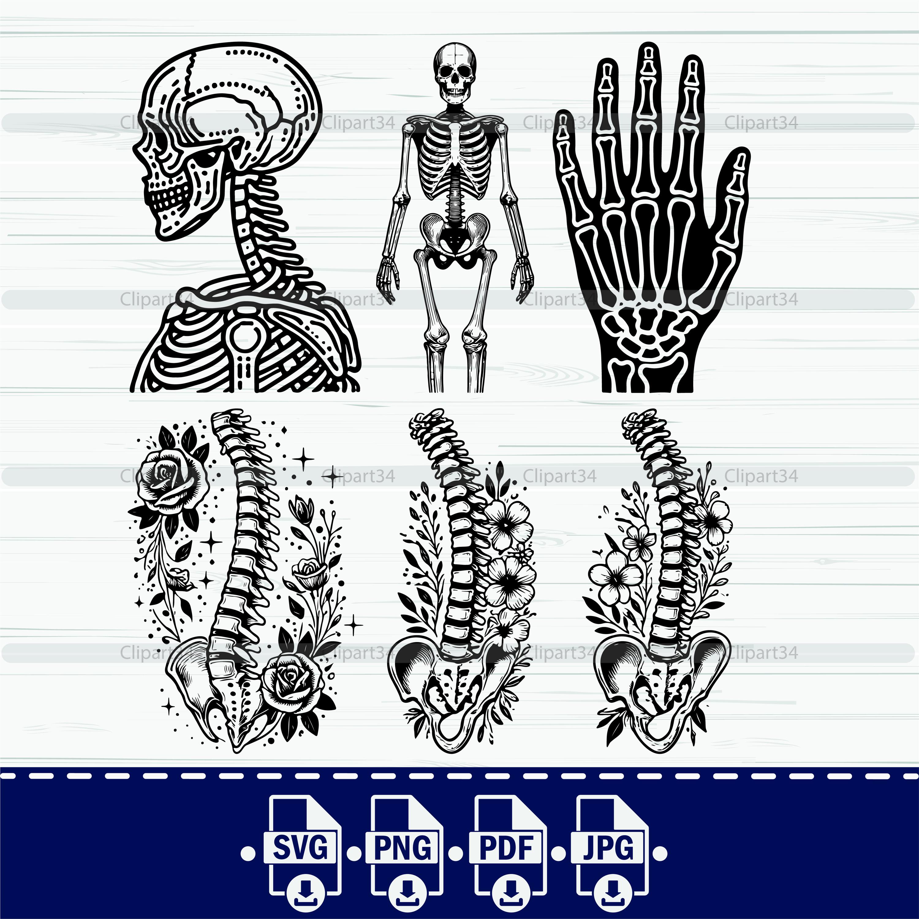 Floral Skeleton Parts SVG, Floral Spine Anatomy SVG, Halloween Skeleton ...
