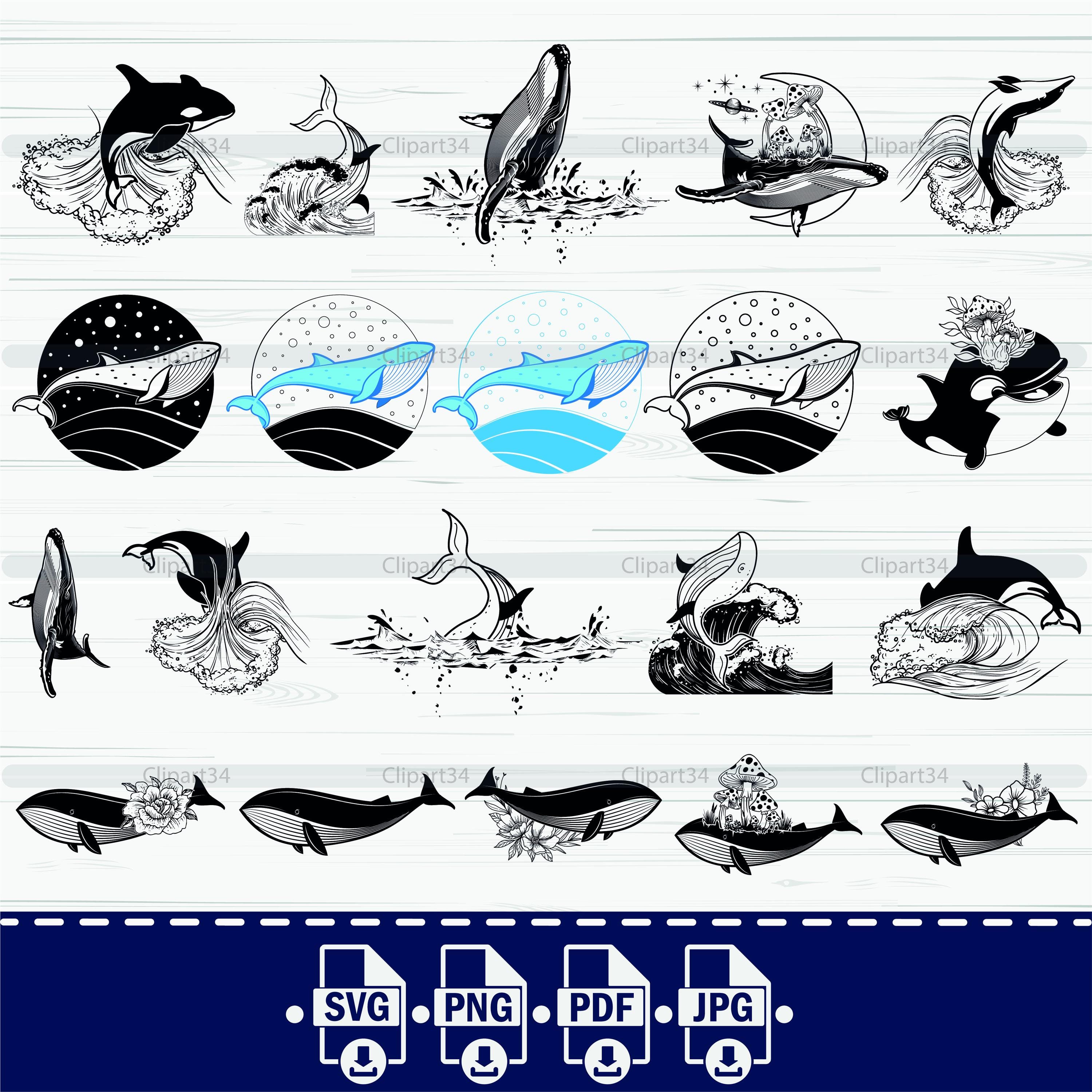 Whale SVG Bundle: Orca, Tail, Sea Animals Clipart (digital Download) - Etsy