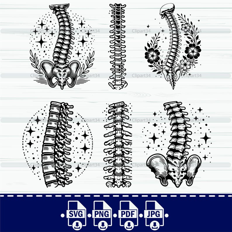 Floral Skeleton Parts SVG, Floral Spine Anatomy SVG, Halloween Skeleton ...
