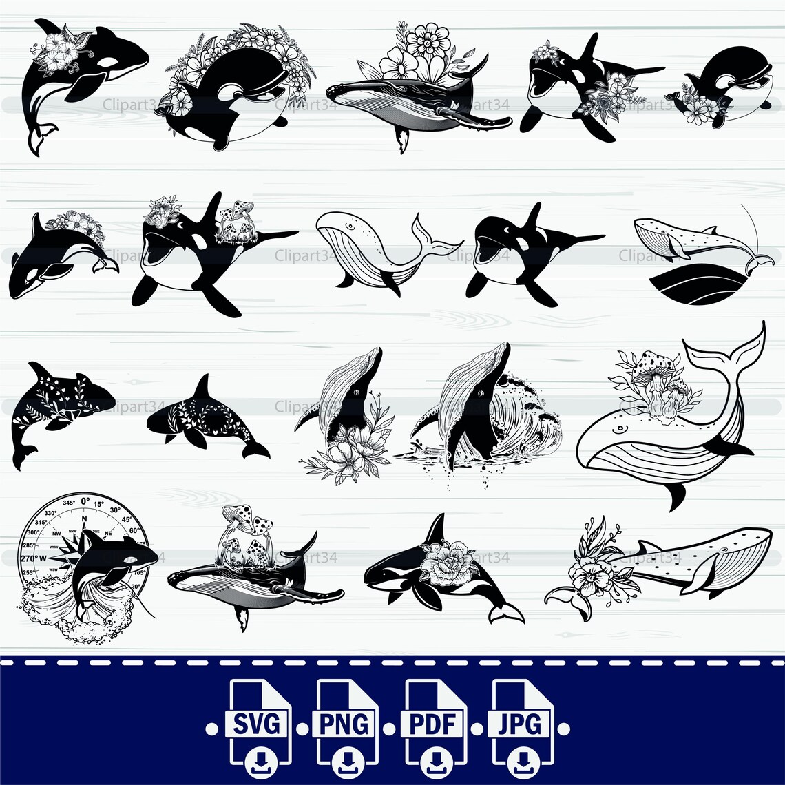 Whale SVG Bundle,#1, Orca Killer Whale Svg, Whale Png, Whale Vector ...