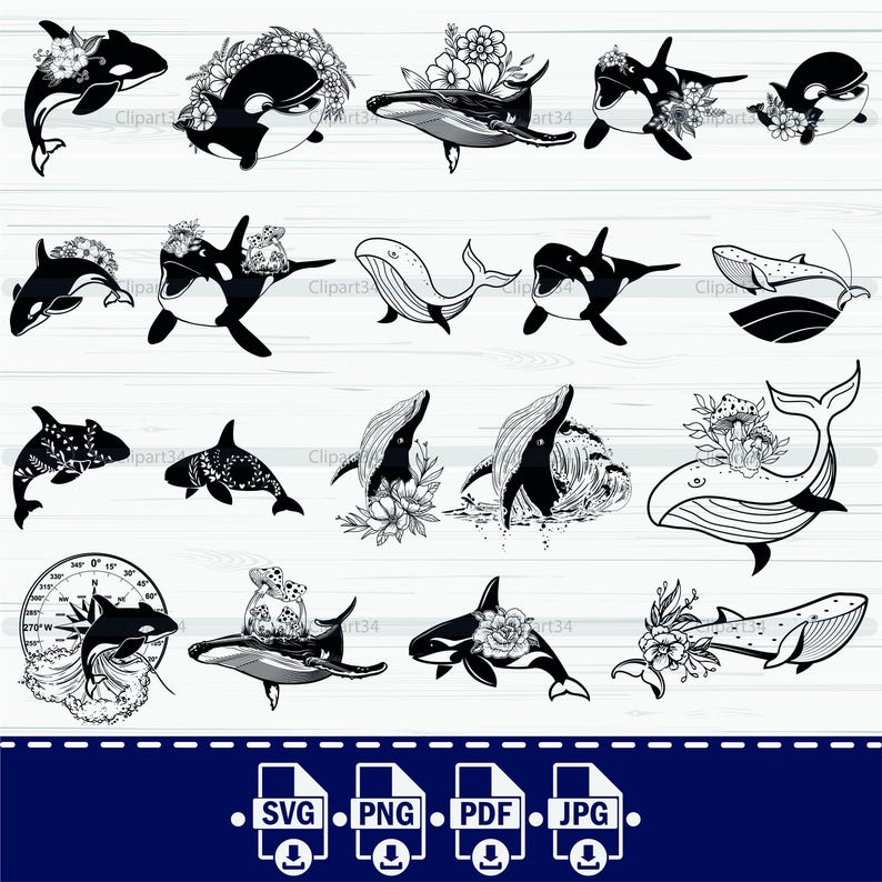 Whale SVG Bundle: Orca, Tail, Sea Animals Clipart (digital Download) - Etsy