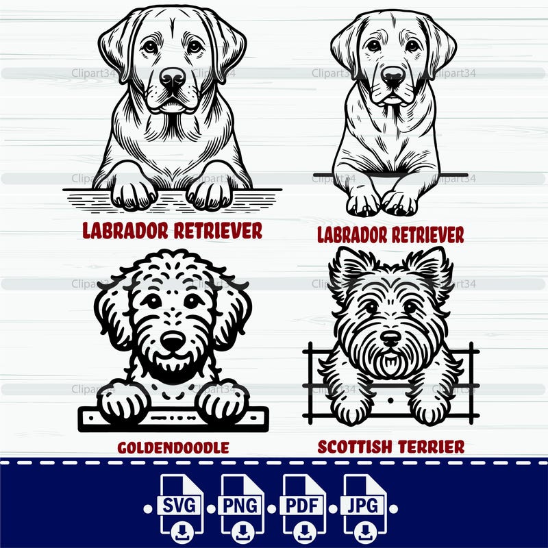 Peeking Lab Svg - Etsy