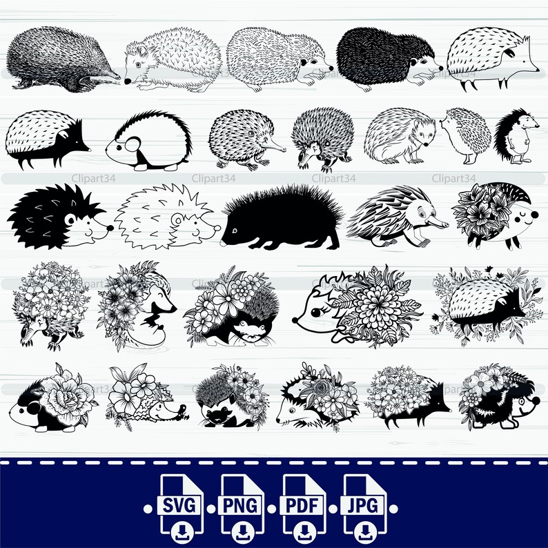 Hedgehog SVG File, Floral Hedgehog Svg, Hedgehog Flowers Svg, Hedgehog ...