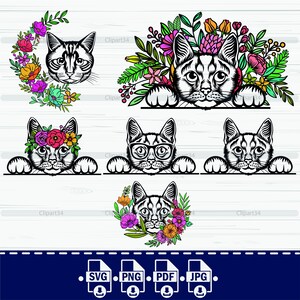 Cat SVG Bundle, Peeking Cat PNG Bundle, Clipart, Kitten Svg, Silhouette ...