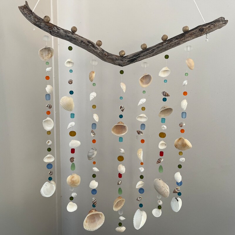 Seashell Hanging - Etsy