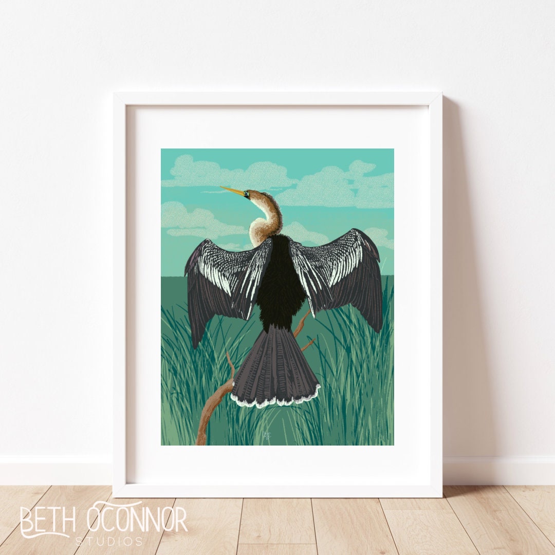 Anhinga Bird Print/ Florida Wetlands Bird Art - Etsy