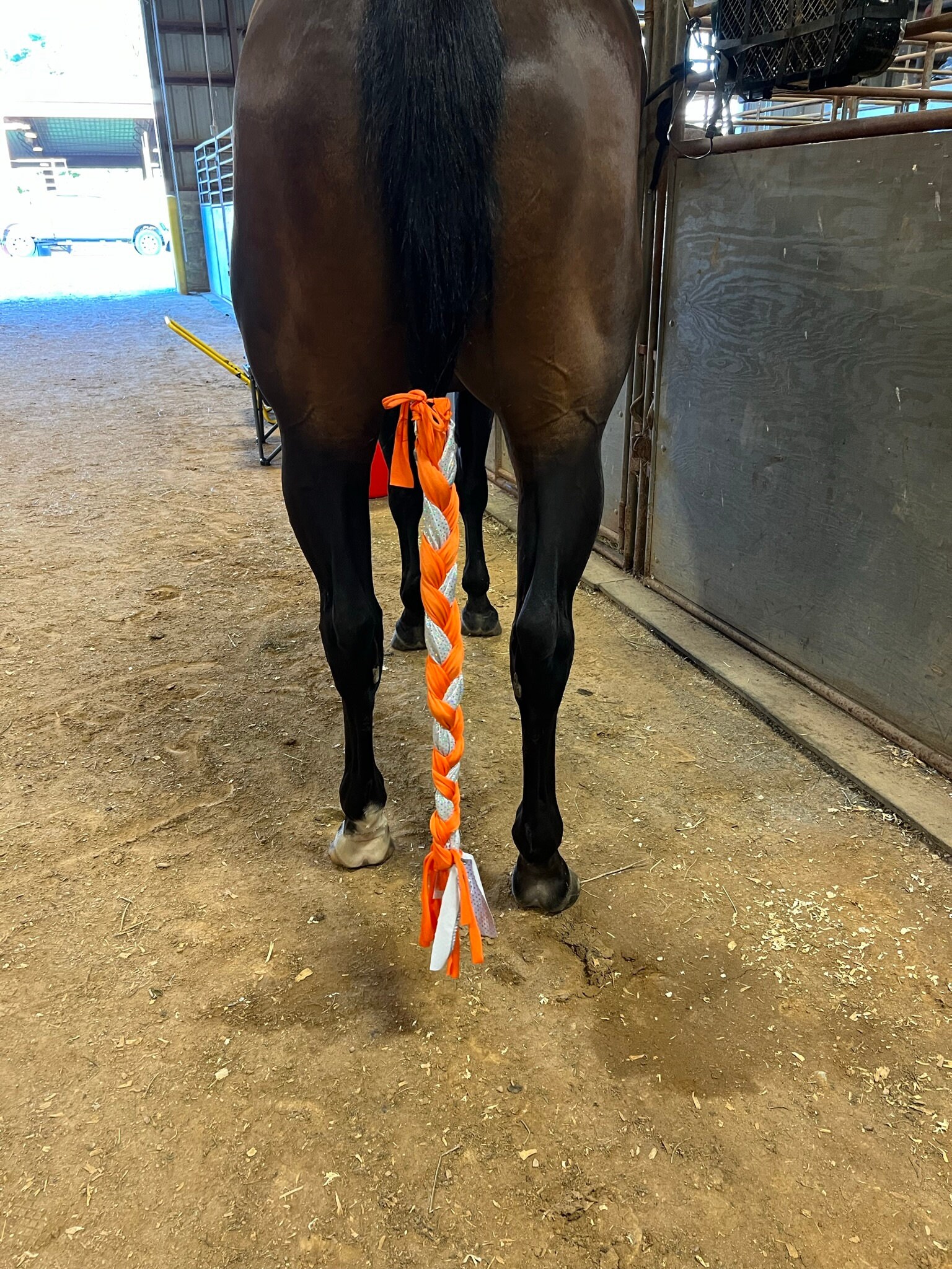 Emerald & Metallic Silver Holographic Croc Braided Tail Bag Tri Star ...