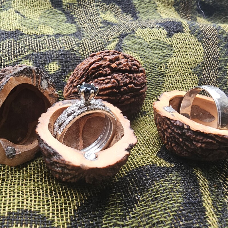 Black Walnut Slices - Etsy