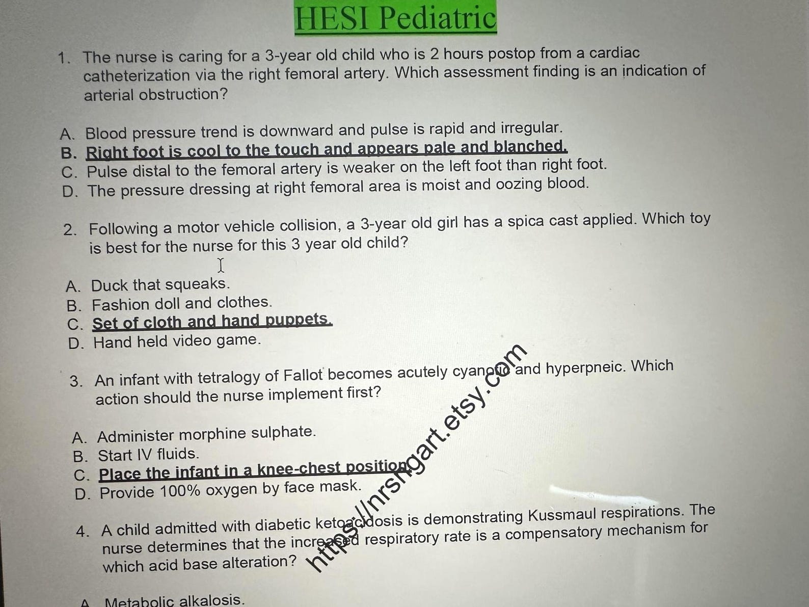 HESI Peds Practice Guide: 300+ Questions - Etsy
