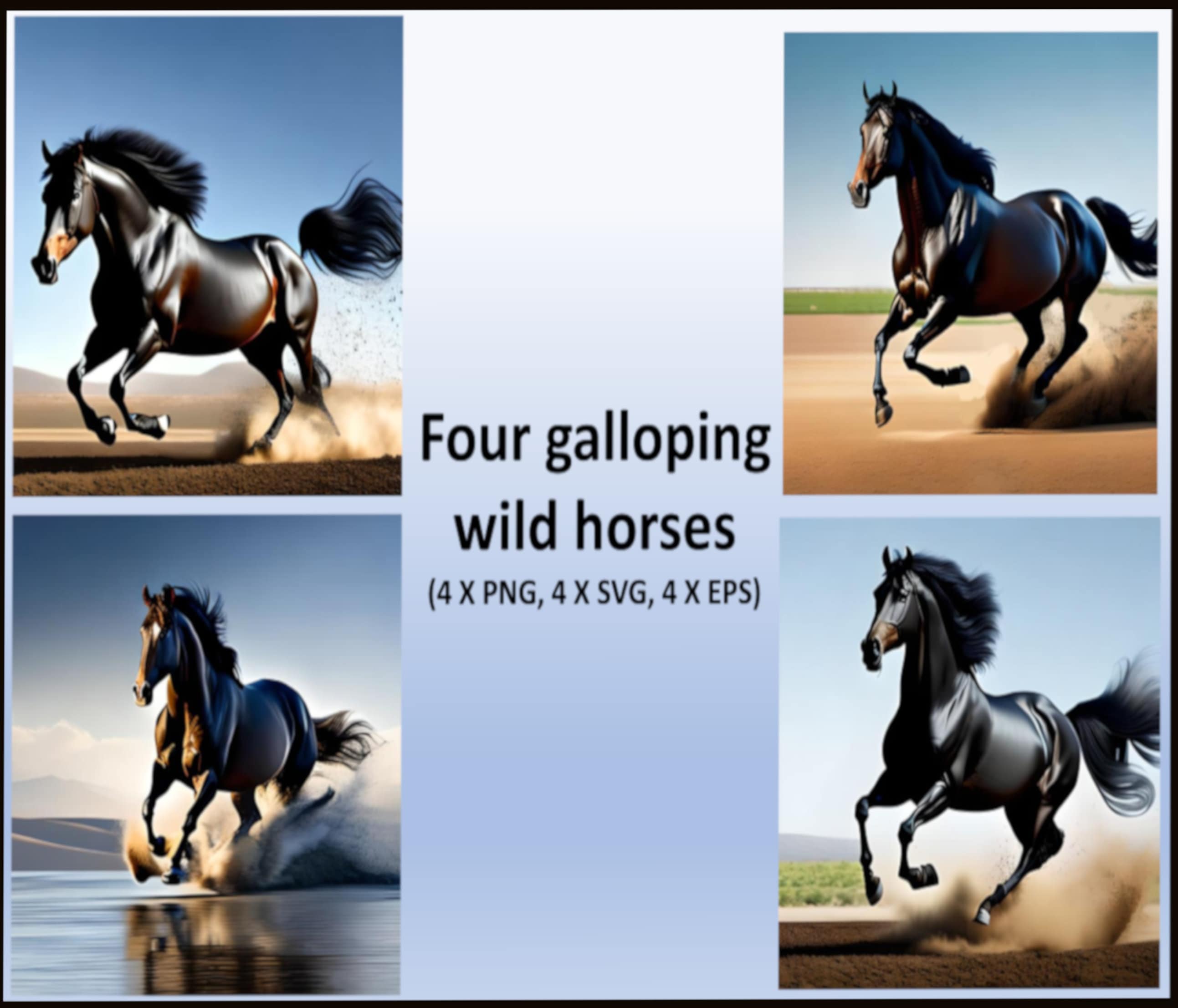 Galloping Wild Horses