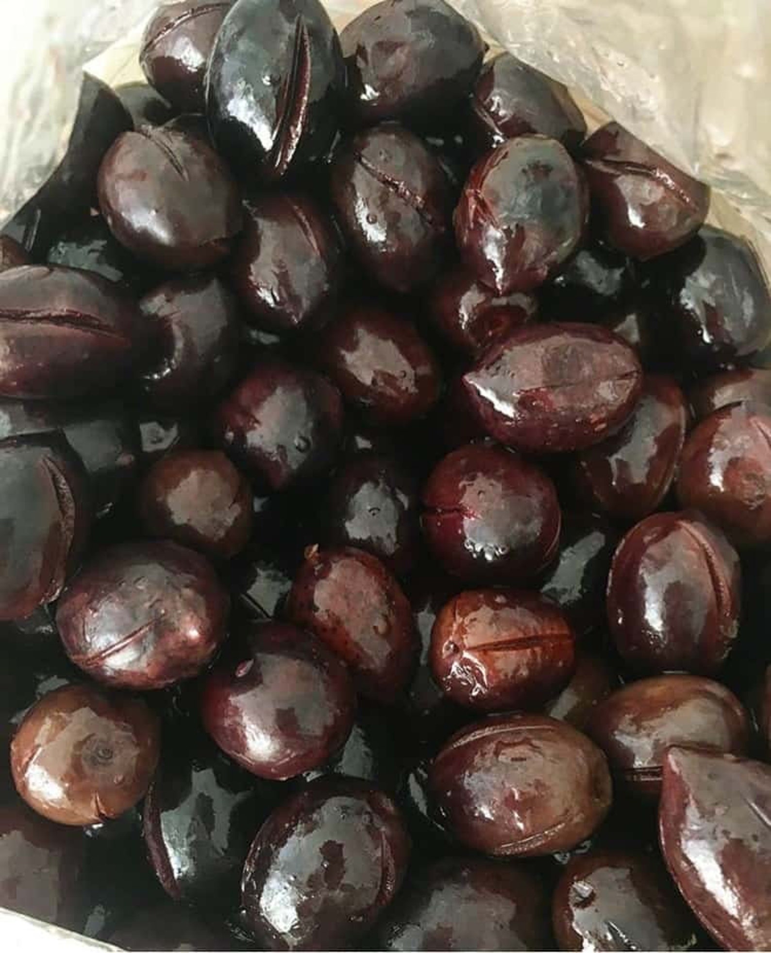 Natural Black Olives,homemade Black Olives,olive Harvest From Our ...