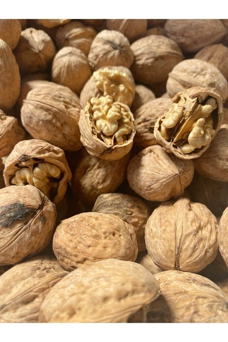 Energizing Snack:fresh Organic In-shell Walnuts,quality and ...