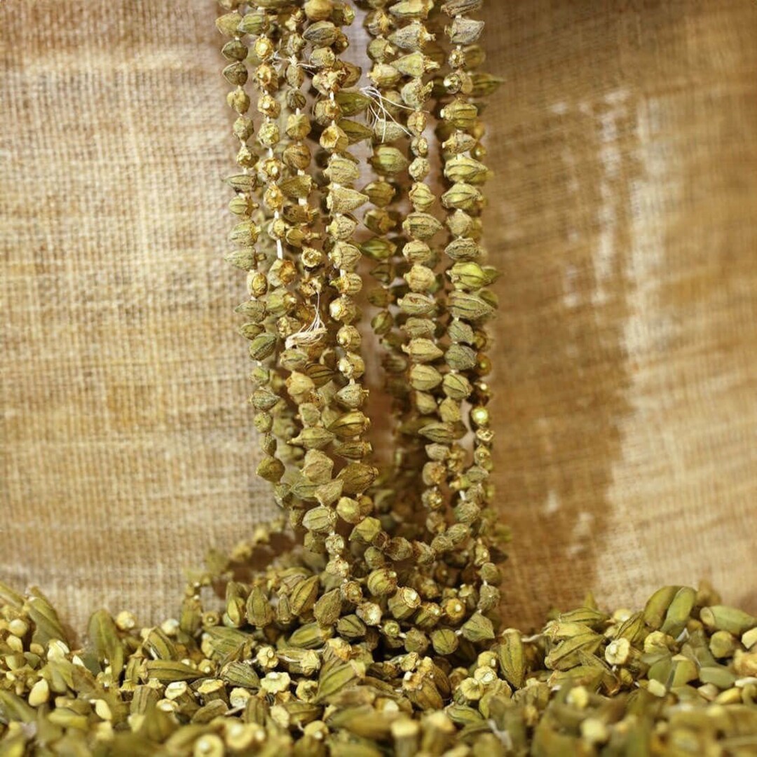 Traditional Okra Dried Naturally From Our Garden, Natural Sun-dried ...