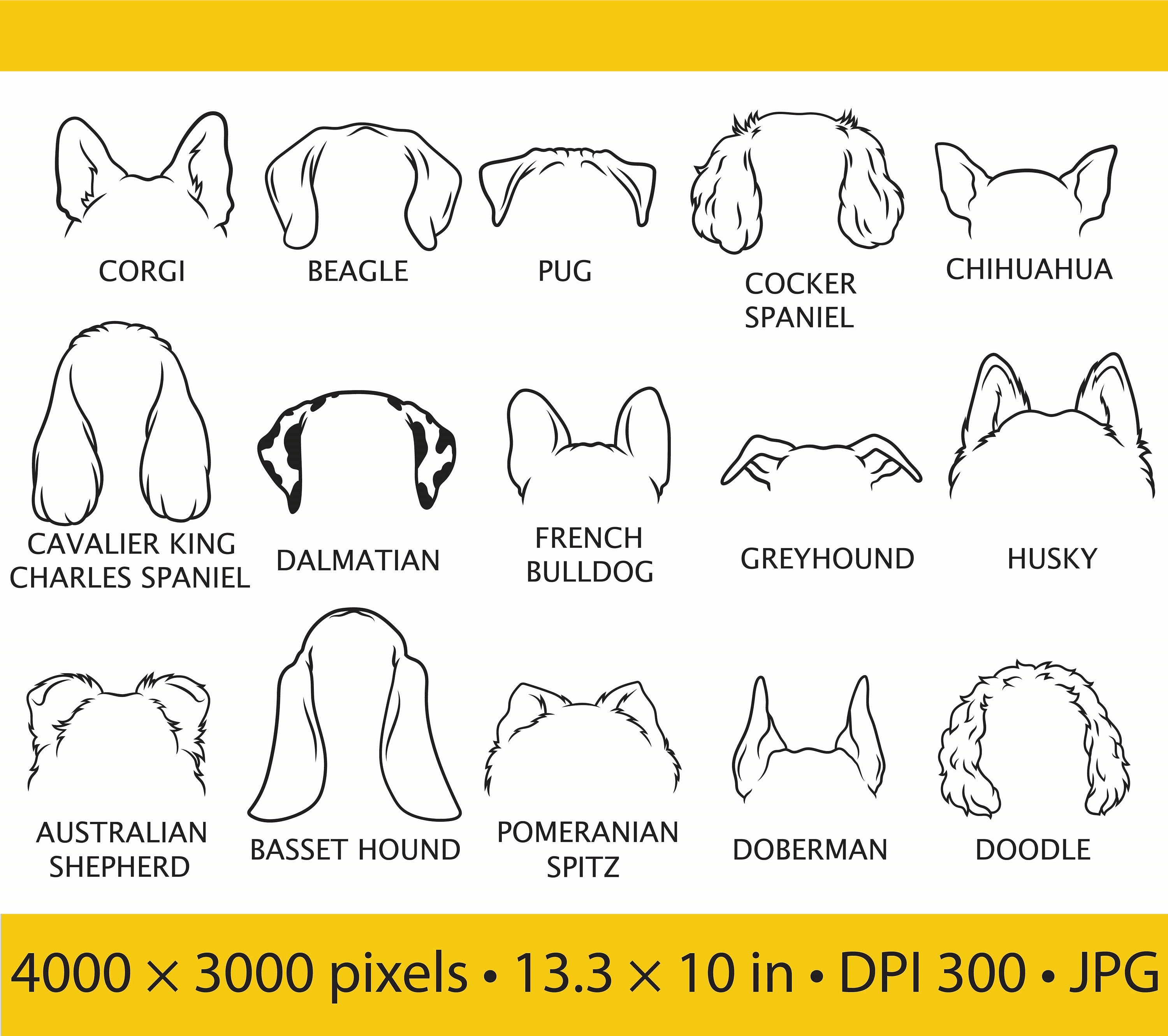 Dog Breed Ears SVG | Hand Drawn | Dog Ears Outline Bundle | Svg Clipart ...