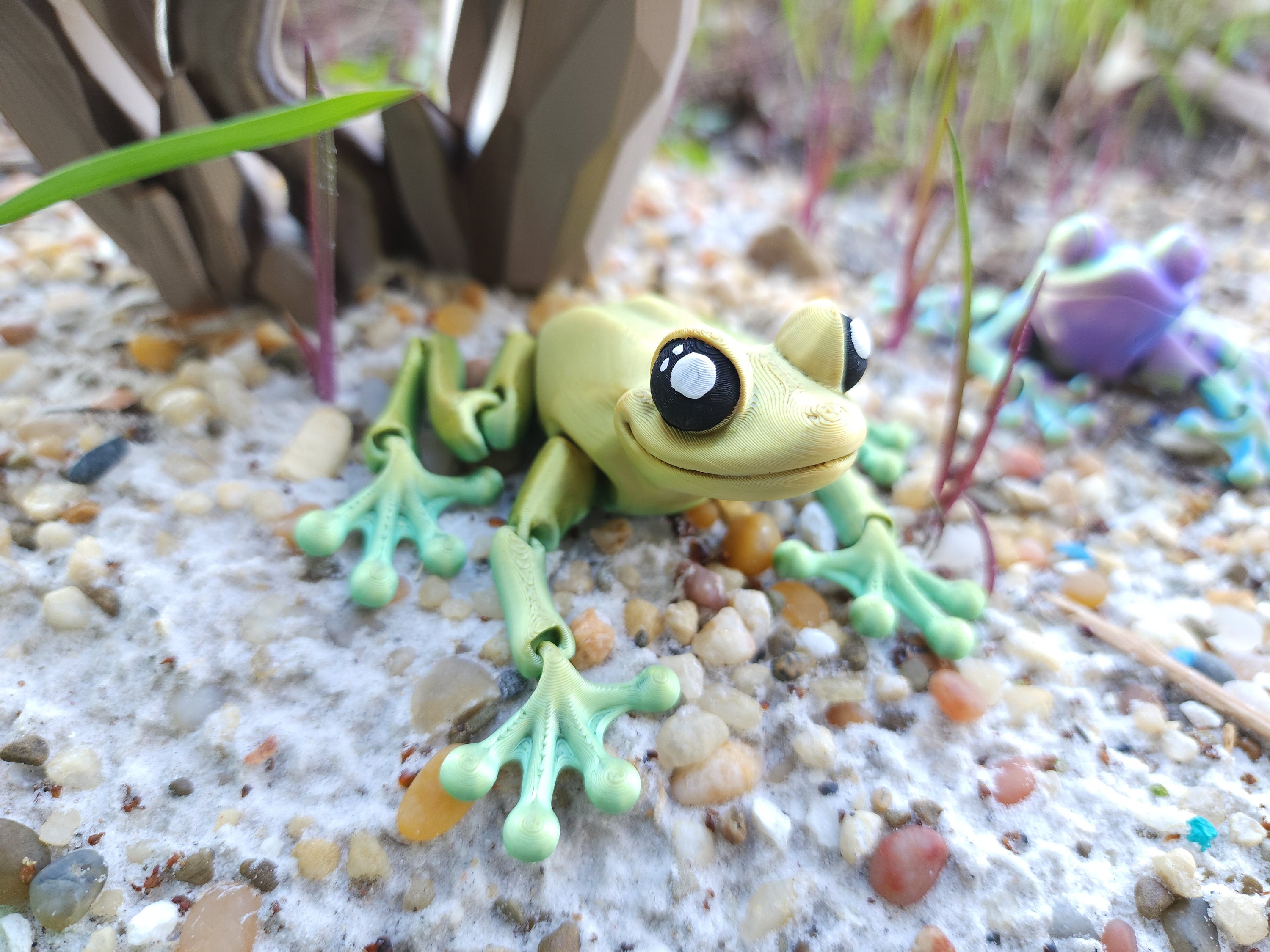 Flexi Frog 3d Printed Amphibian Articulated Frogs Fidget - Etsy
